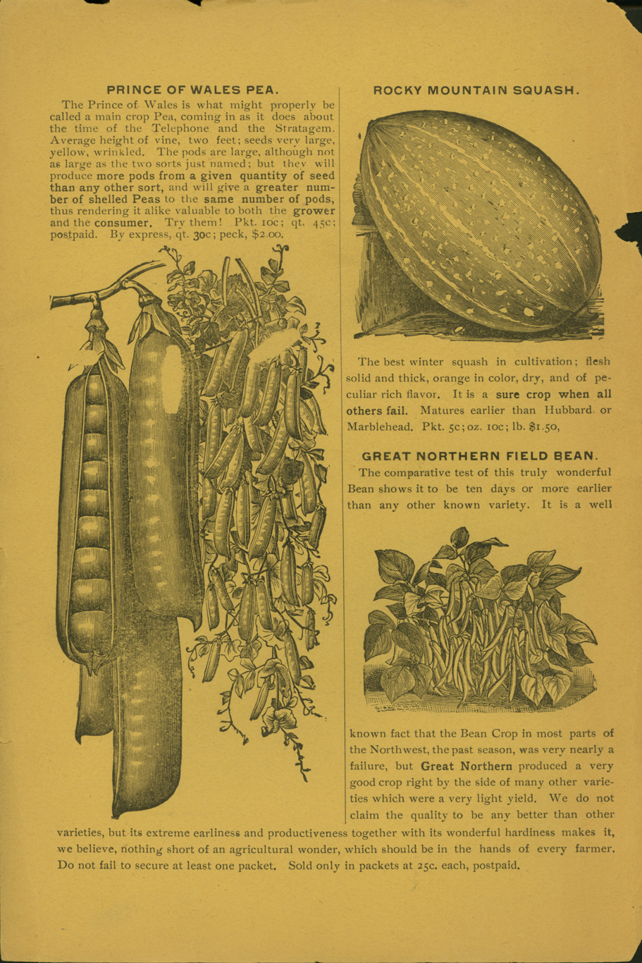 Details | North Dakota Heritage Center & State Museum